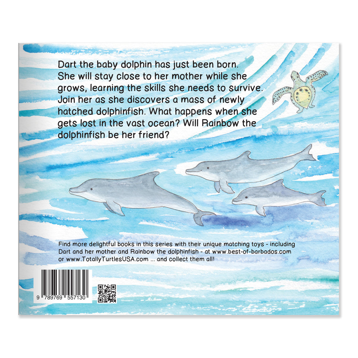 Dolphin Discovery: Storybook – Turtle Tracks Family