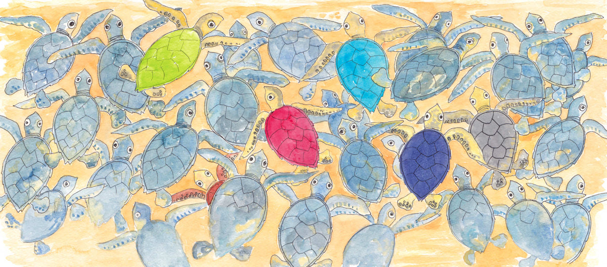 Happy Hatchlings – Turtle Tracks Family