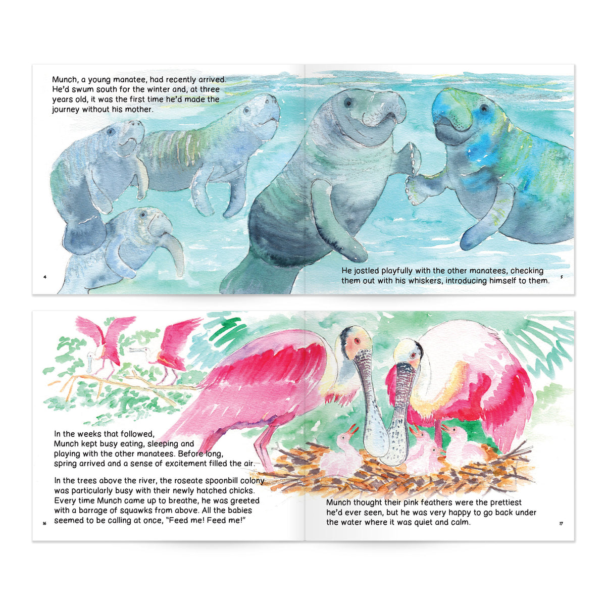 Manatee Magic: Storybook – Turtle Tracks Family