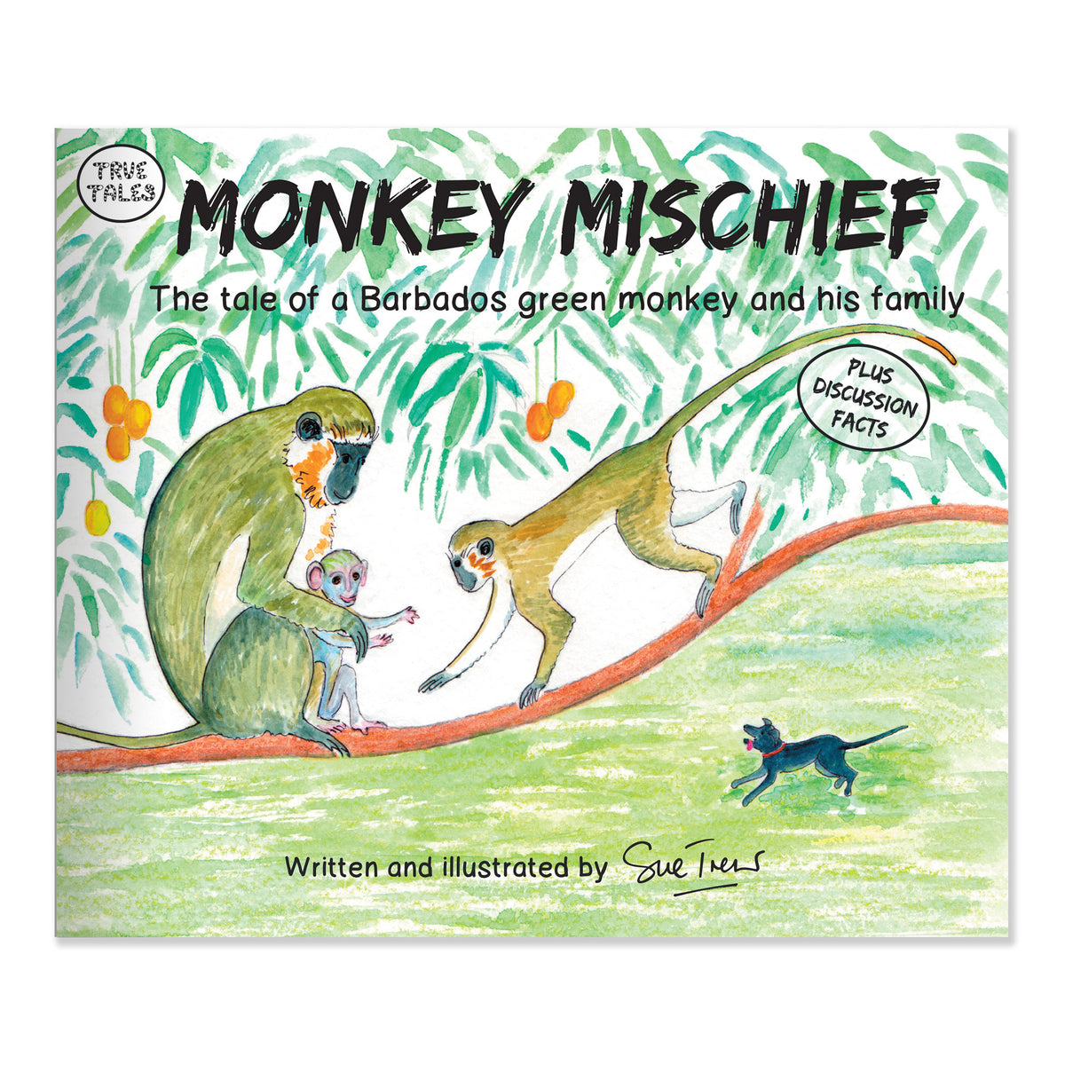 Monkey Mischief: Storybook – Turtle Tracks Family