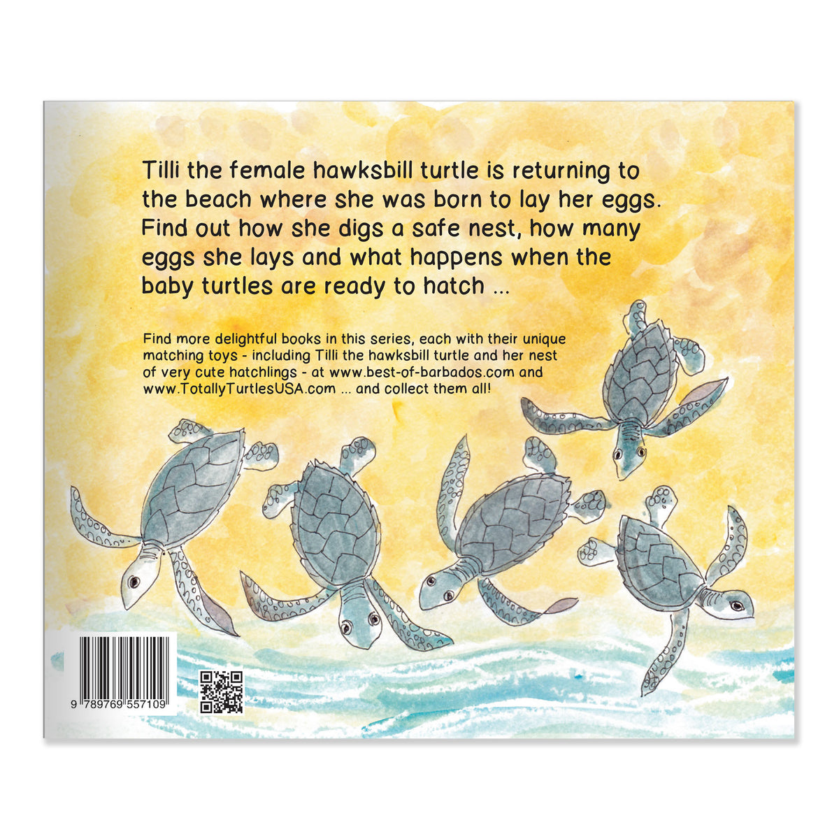 Turtle Tracks: Storybook – Turtle Tracks Family