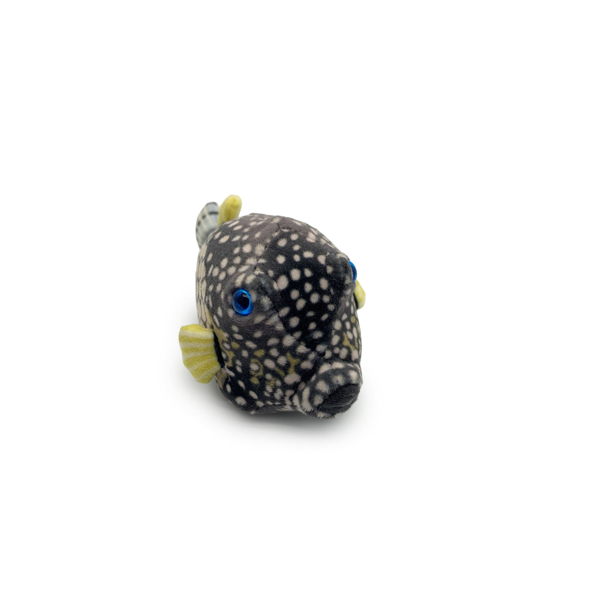 Turtle Trips: "Dot" Boxfish Plush Toy – Turtle Tracks Family